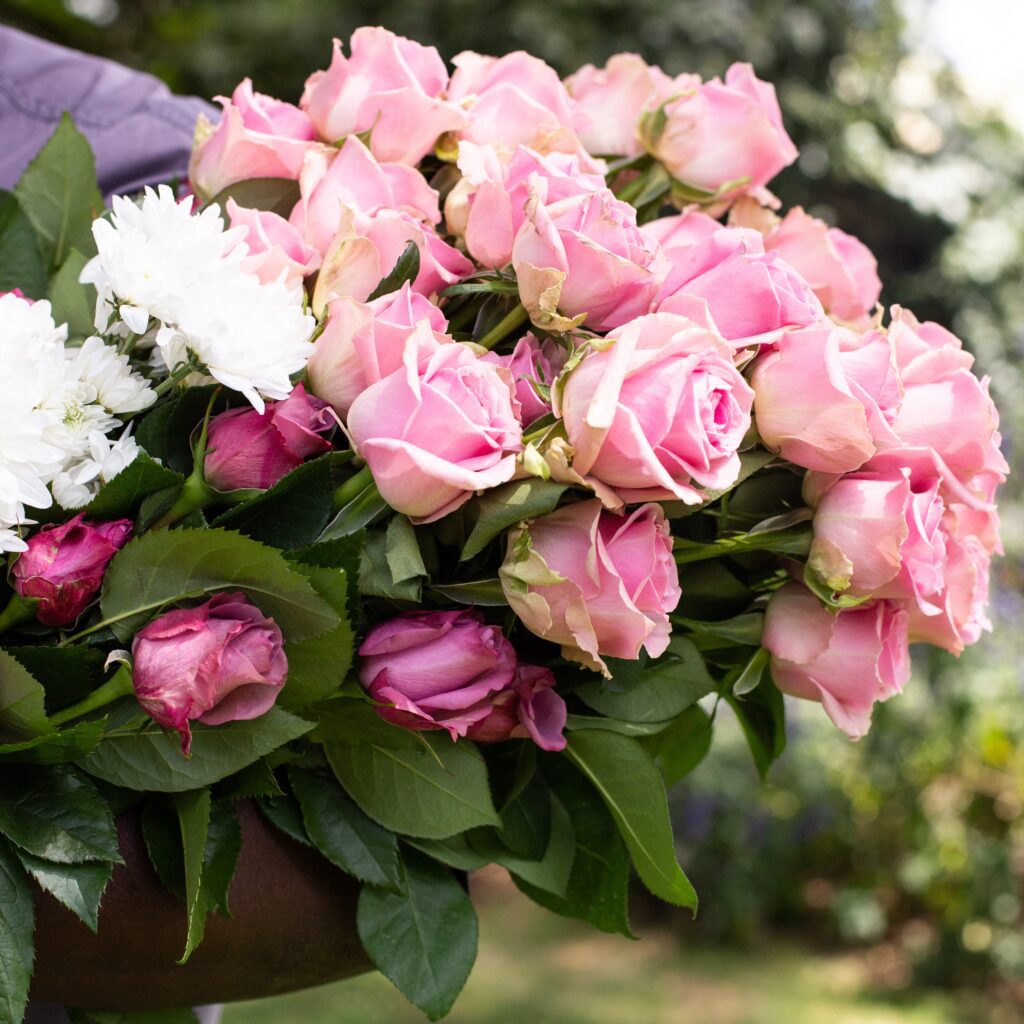 Mazingira Day: Sustainable Rose Farming in Kenya