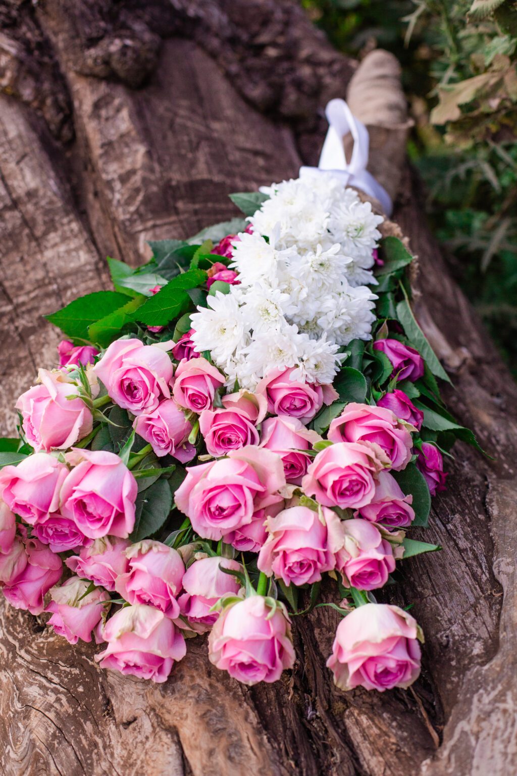 Baraka Roses: Premium Kenyan Roses from Nyandarua, Kenya