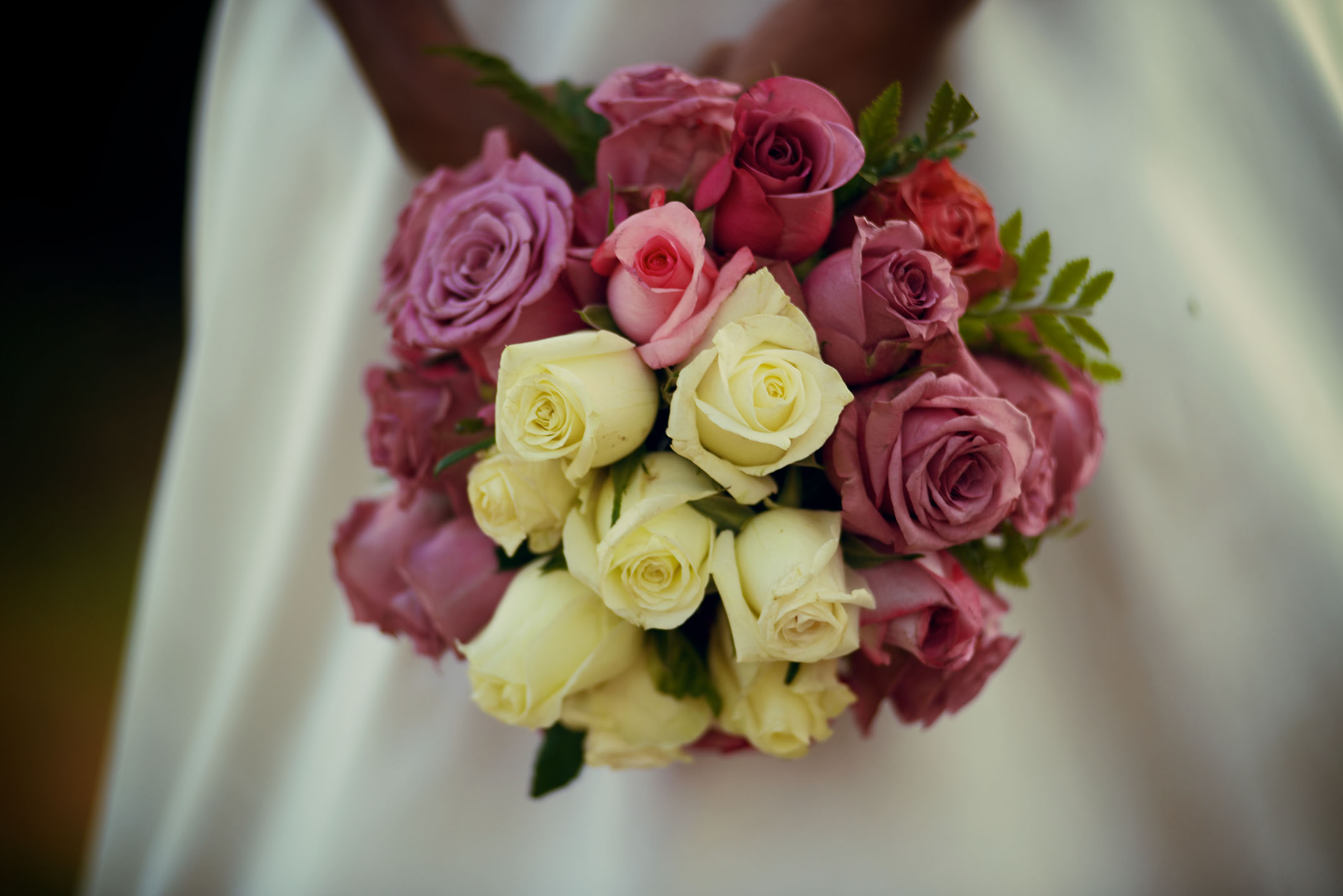 The Perfect Gift: Why Roses Reign Supreme This Festive Season