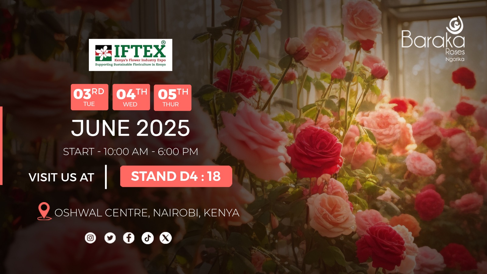 IFTEX 2025: A Blooming Showcase of Global Floriculture in Nairobi ...